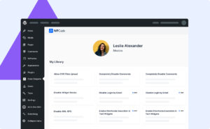 Code Snippets Library - WPCode
