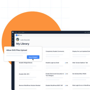 Private Snippets Library - WPCode