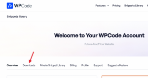 How to Install and Activate WPCode: A Step-by-Step Guide - WPCode