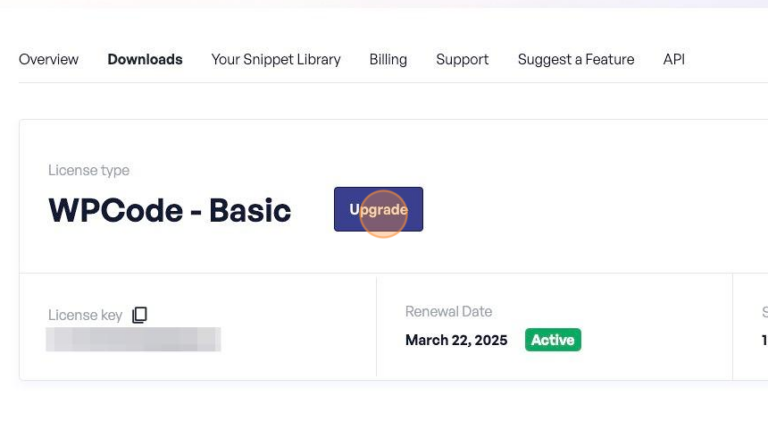 How to Upgrade Your WPCode License - WPCode